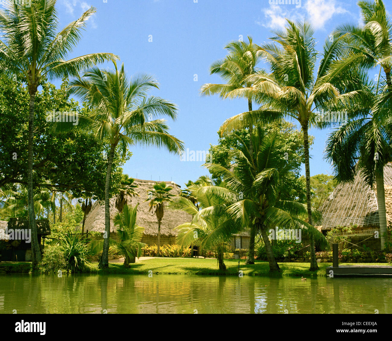 Grass Shack Hawaii High Resolution Stock Photography and Images - Alamy