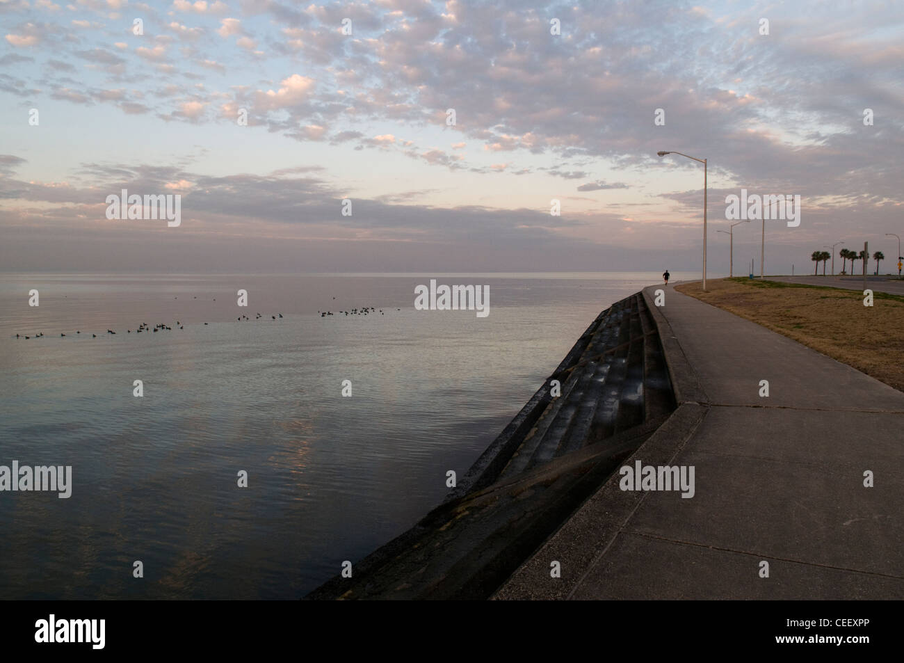 Locomotion On The Levee