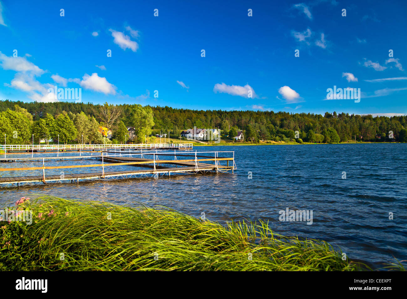 Landscape at the lake Stock Photo - Alamy