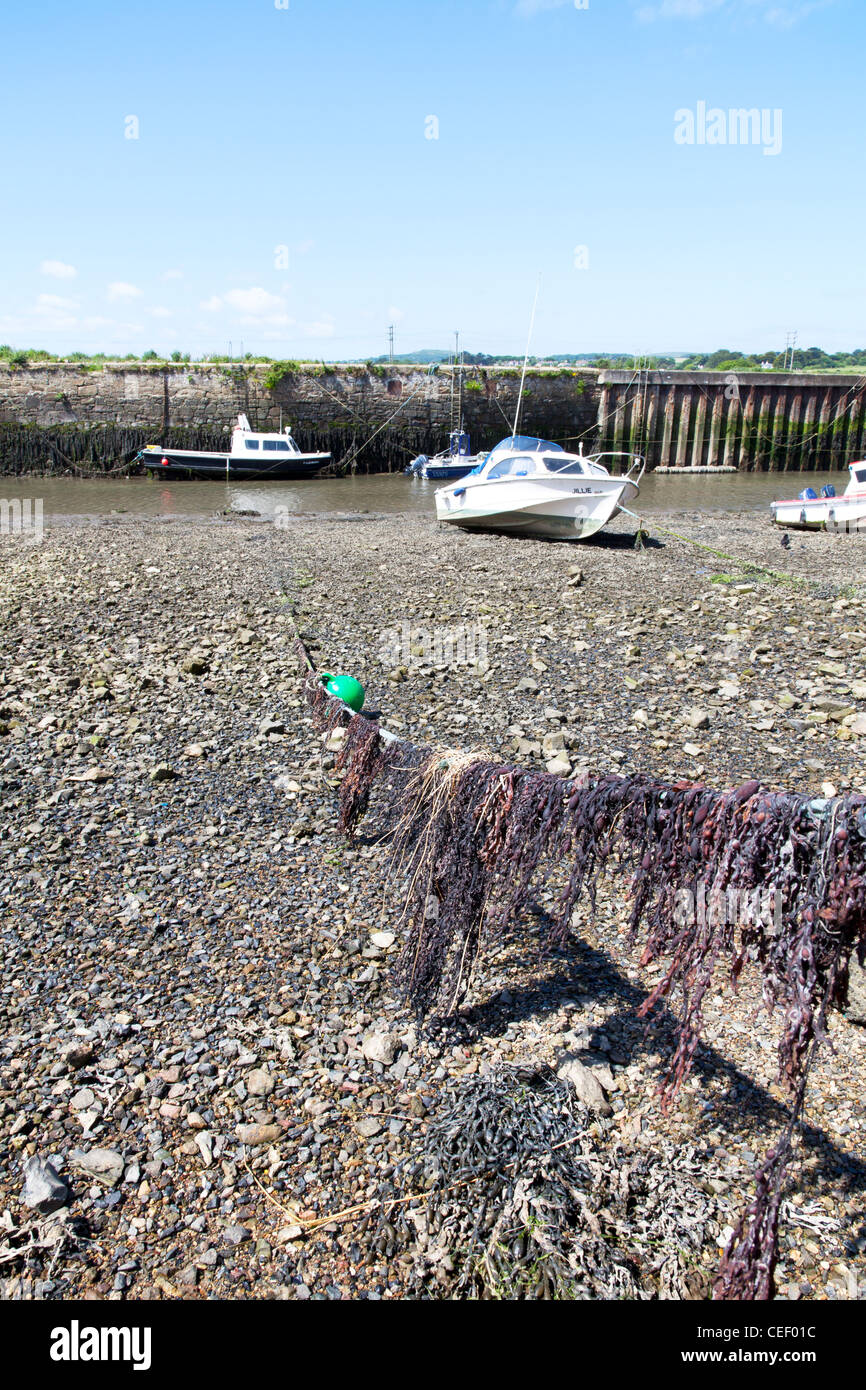 Boats at Hayle Estuary in Cornwall when the tide is out boats ...