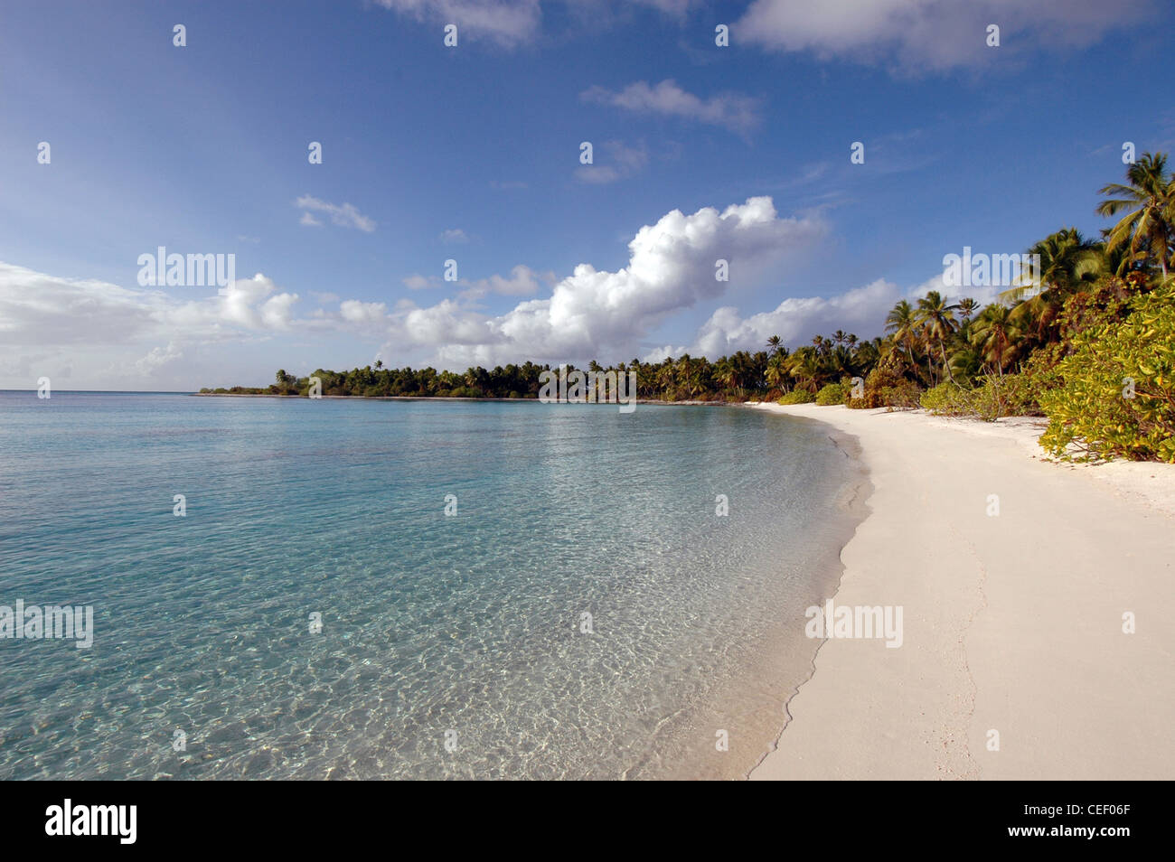 Beach, Rongelap Atoll, Marshall Islands Stock Photo - Alamy