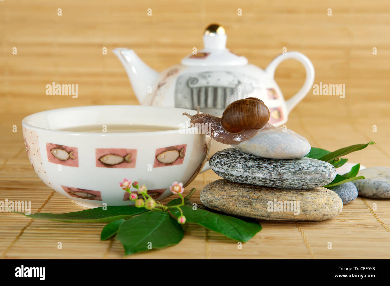 Green tea cup and snail Stock Photo - Alamy