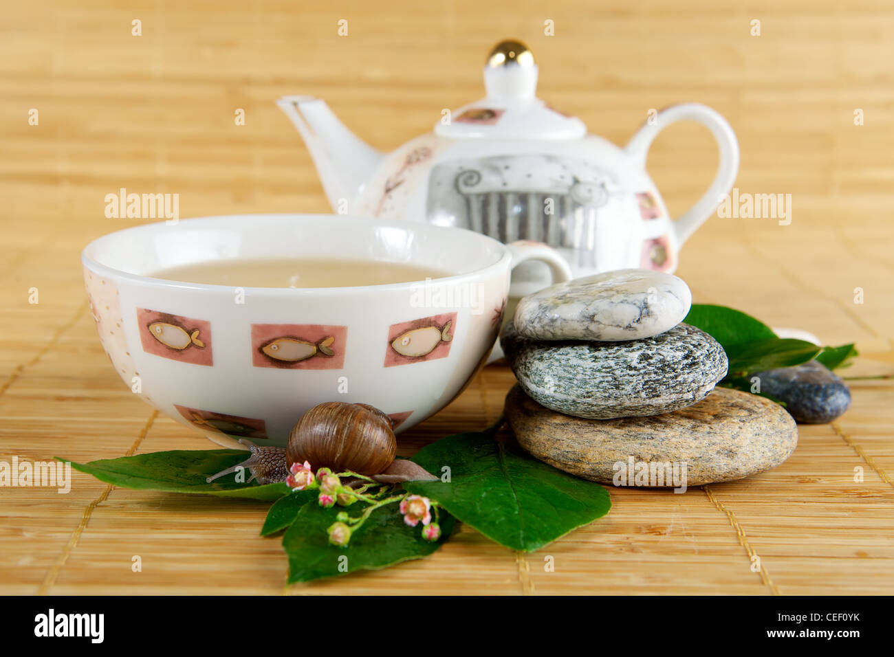 Green tea cup and snail Stock Photo - Alamy