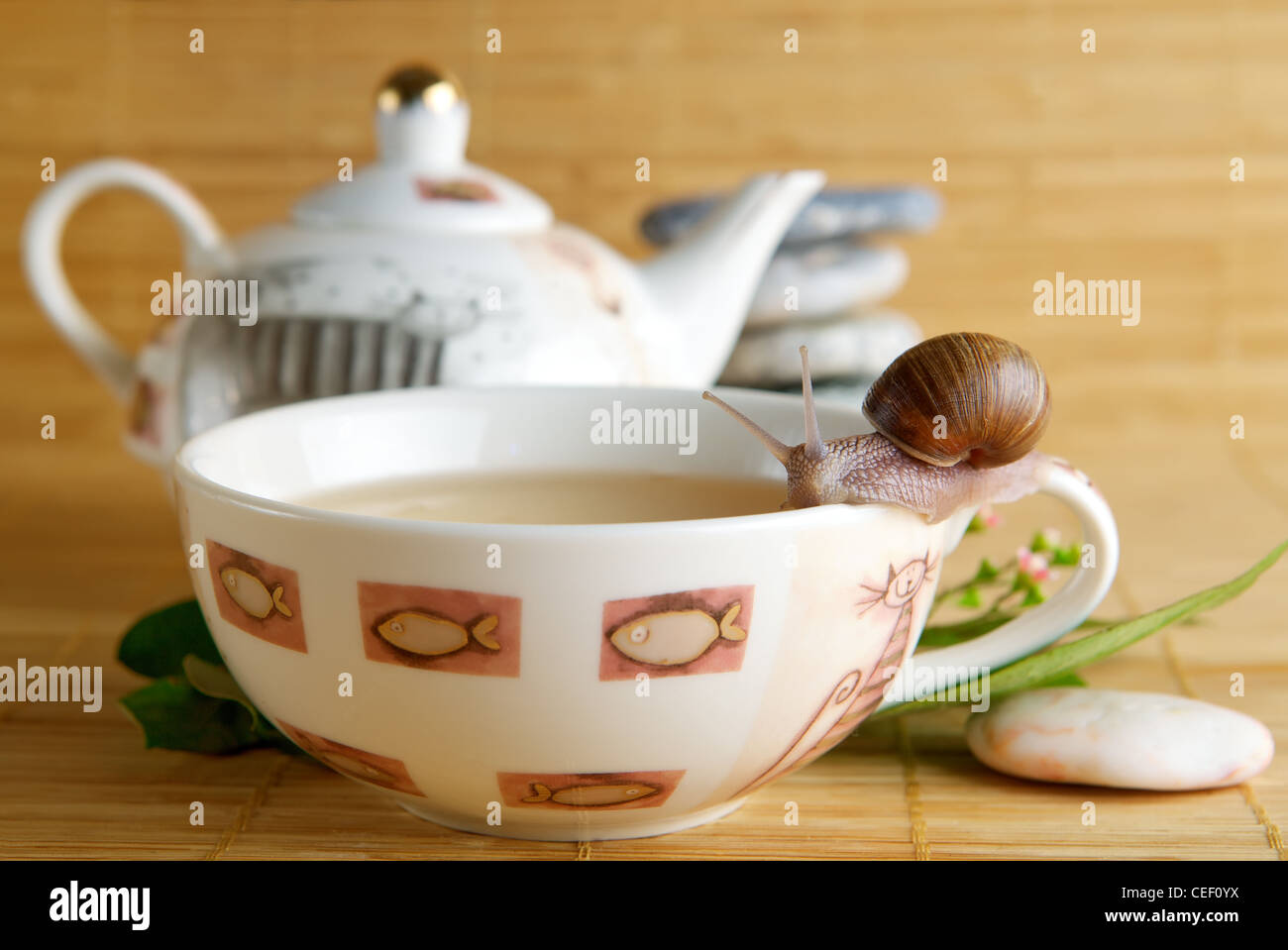 Green tea cup and snail Stock Photo - Alamy