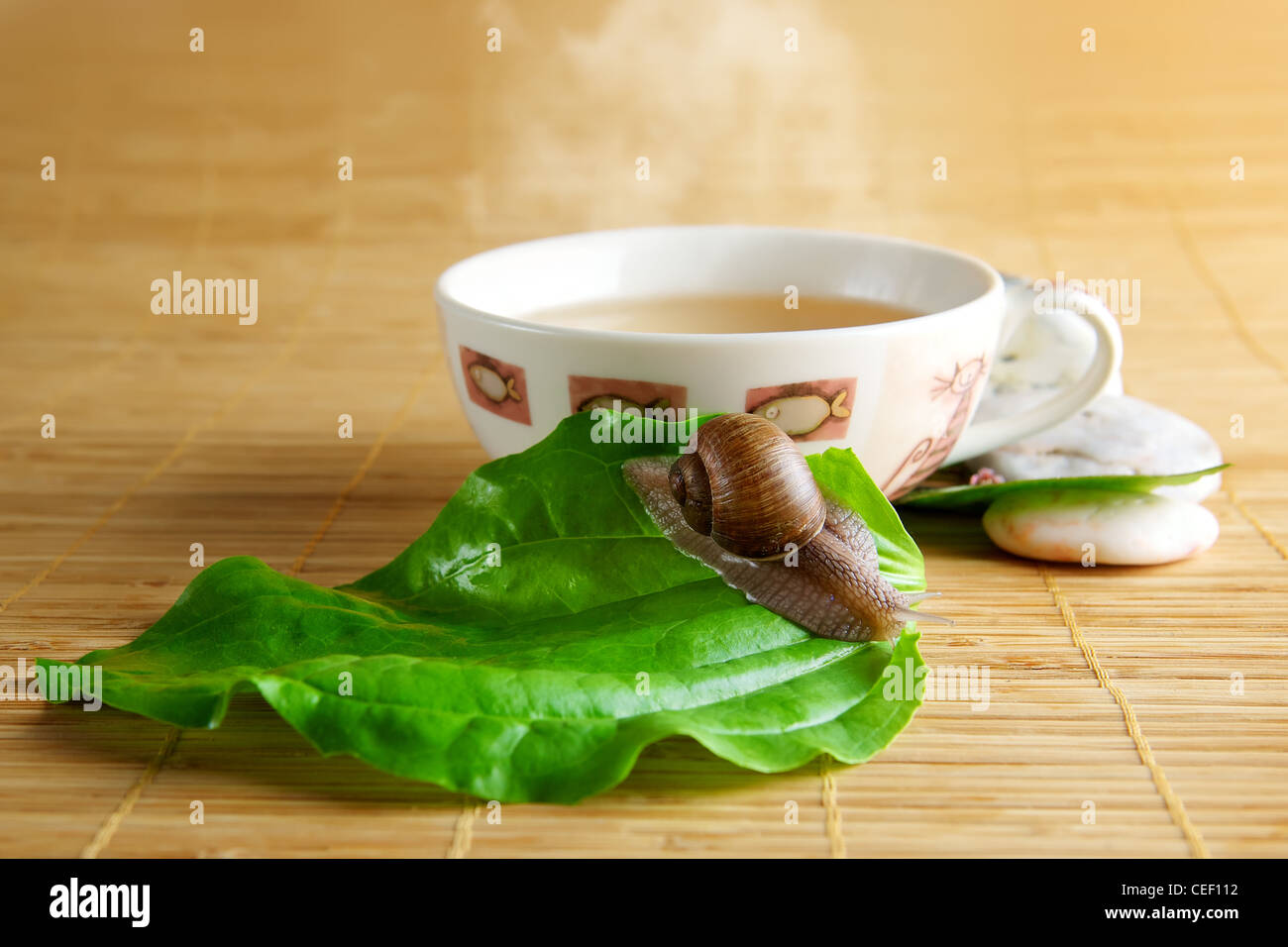 Green tea cup and snail Stock Photo - Alamy