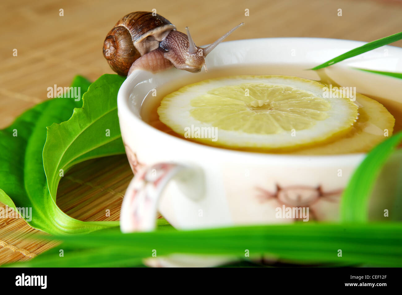 Healthy green tea cup wiht lemon Stock Photo - Alamy