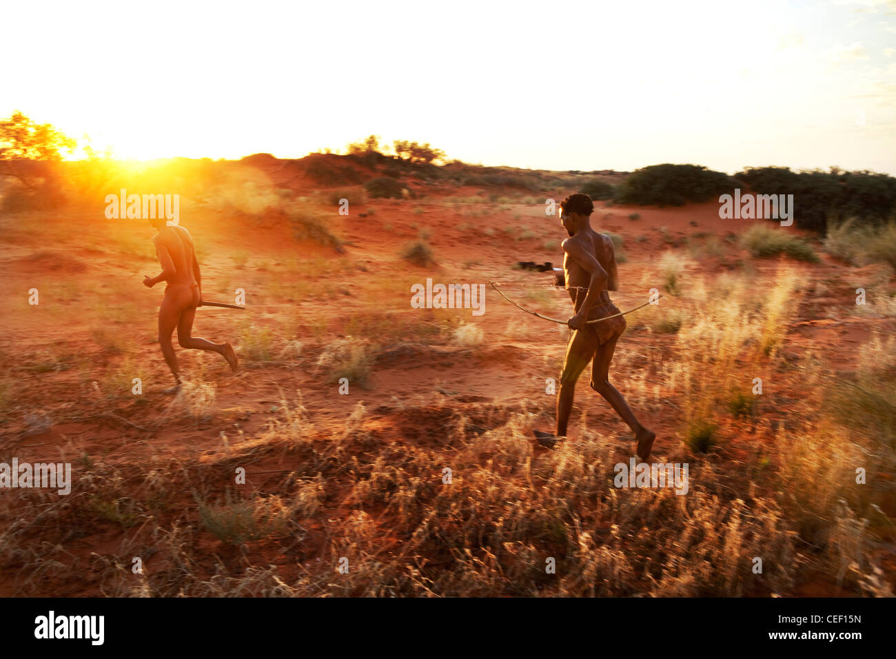 kalahari bushmen running during a hunt Stock Photo - Alamy