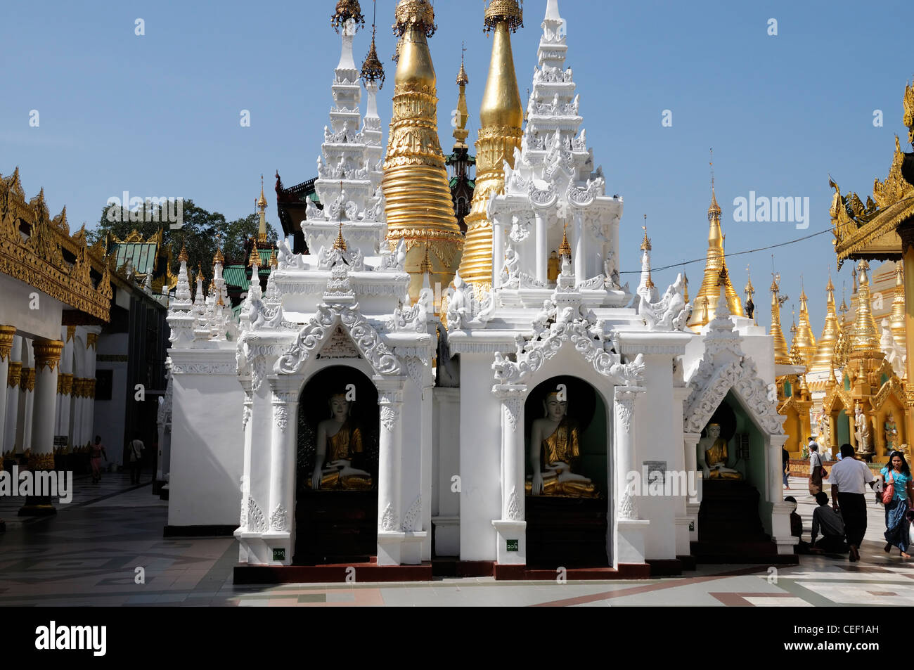 white stupas buddhist shrine buddhism Shwedagon Pagoda Myanmar Burma ...
