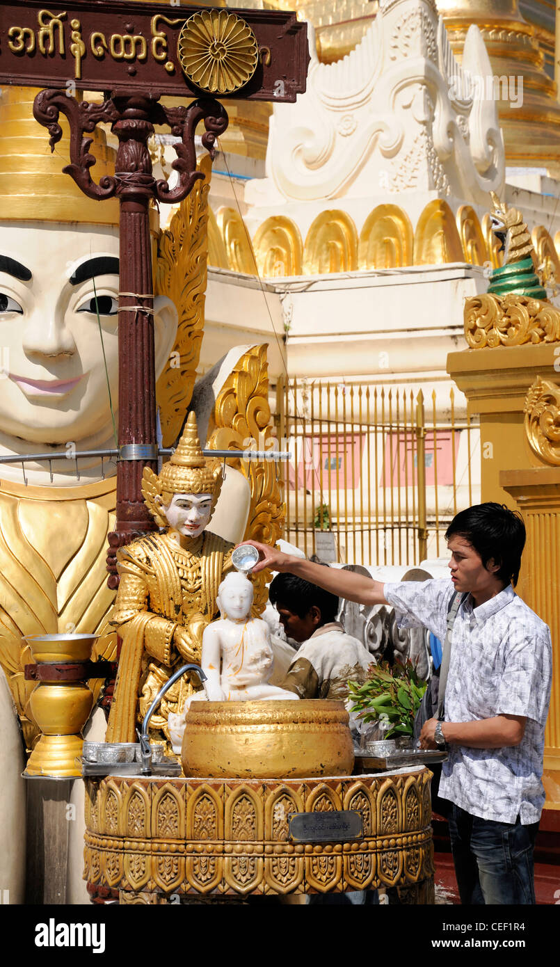 devotee pilgrim pour pouring water making offering buddha statue planet ...