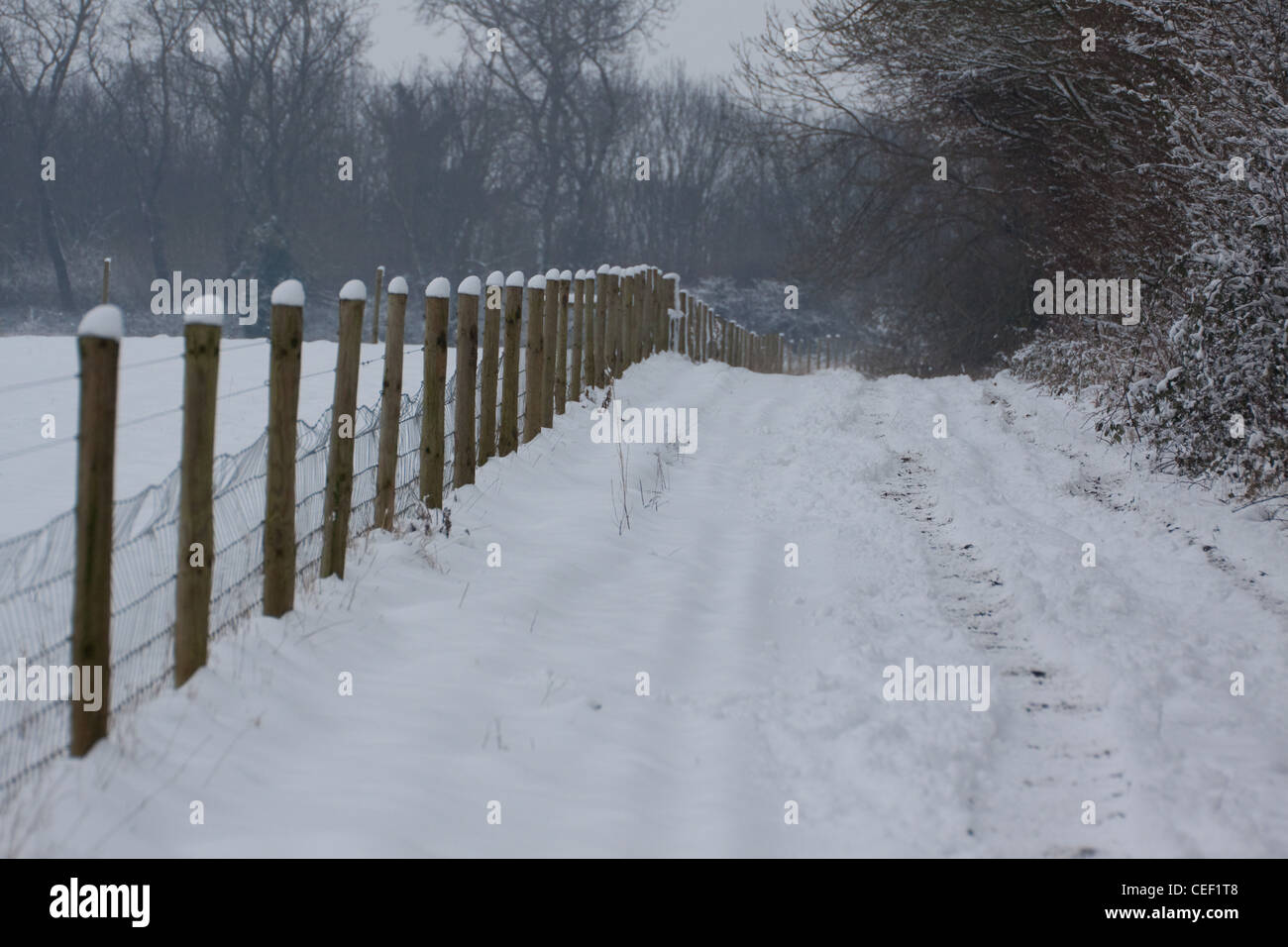 A snowy track alongside a fence with a pile of snow on top of each ...