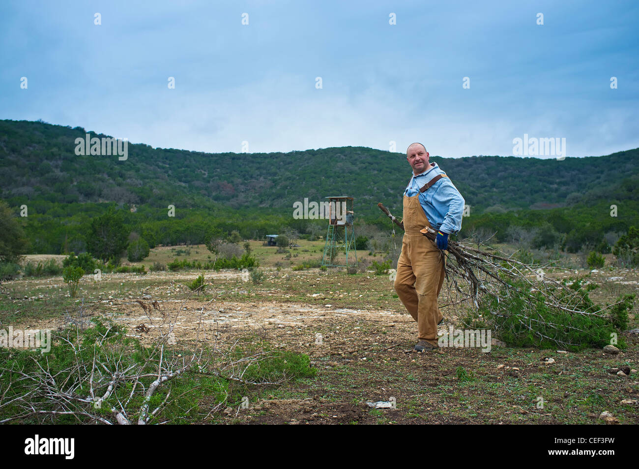 Land clearing hi-res stock photography and images - Alamy