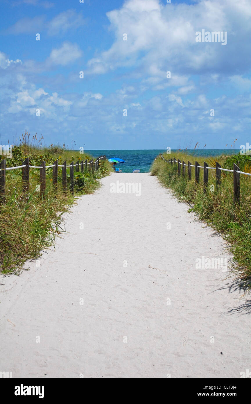 sandy path to the beach and sea Stock Photo - Alamy