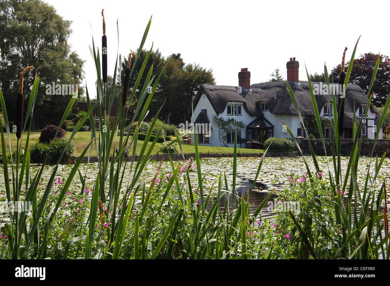 Thatched cottage and pond Stock Photo - Alamy