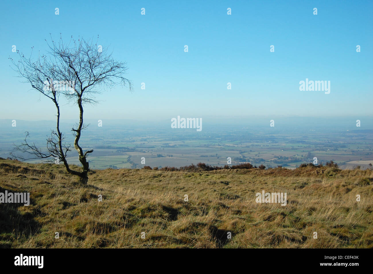 view across shropshire from the wrekin Stock Photo - Alamy