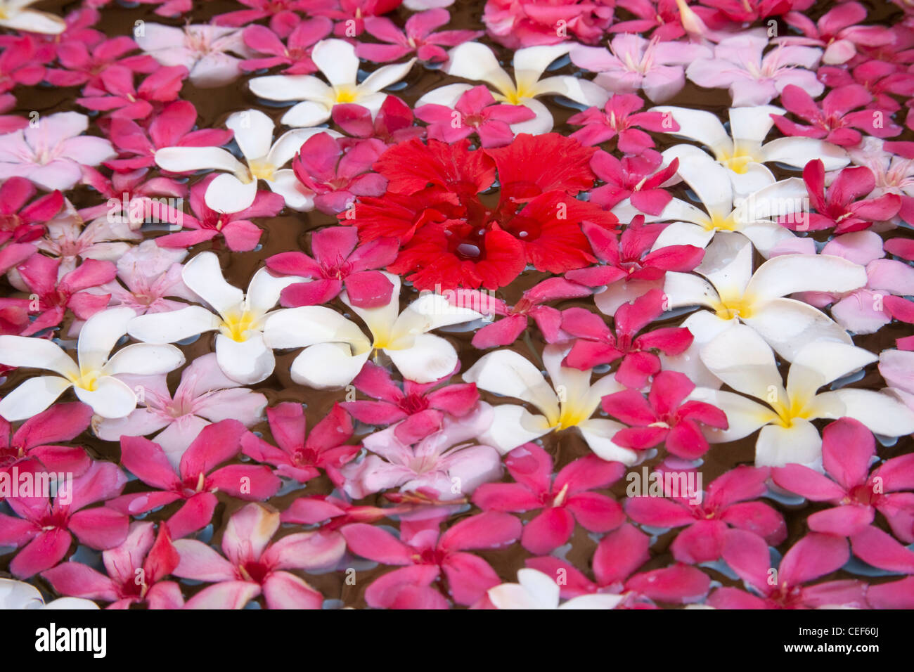 Flower decoration, India Stock Photo - Alamy