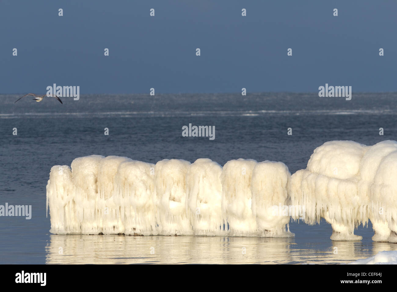Icy sea walls on the Polish Baltic Coast. Winter by the sea. Poland ...