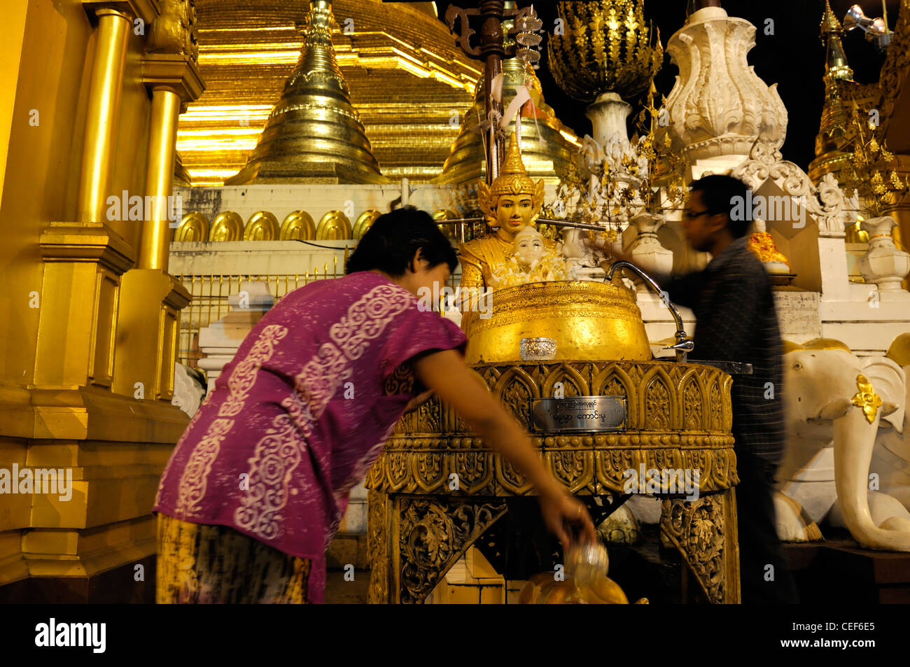 devotee pilgrim pour pouring water making offering to buddha statue ...