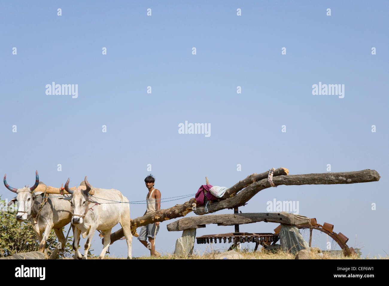 Water wheel rajasthan india hi-res stock photography and images - Alamy