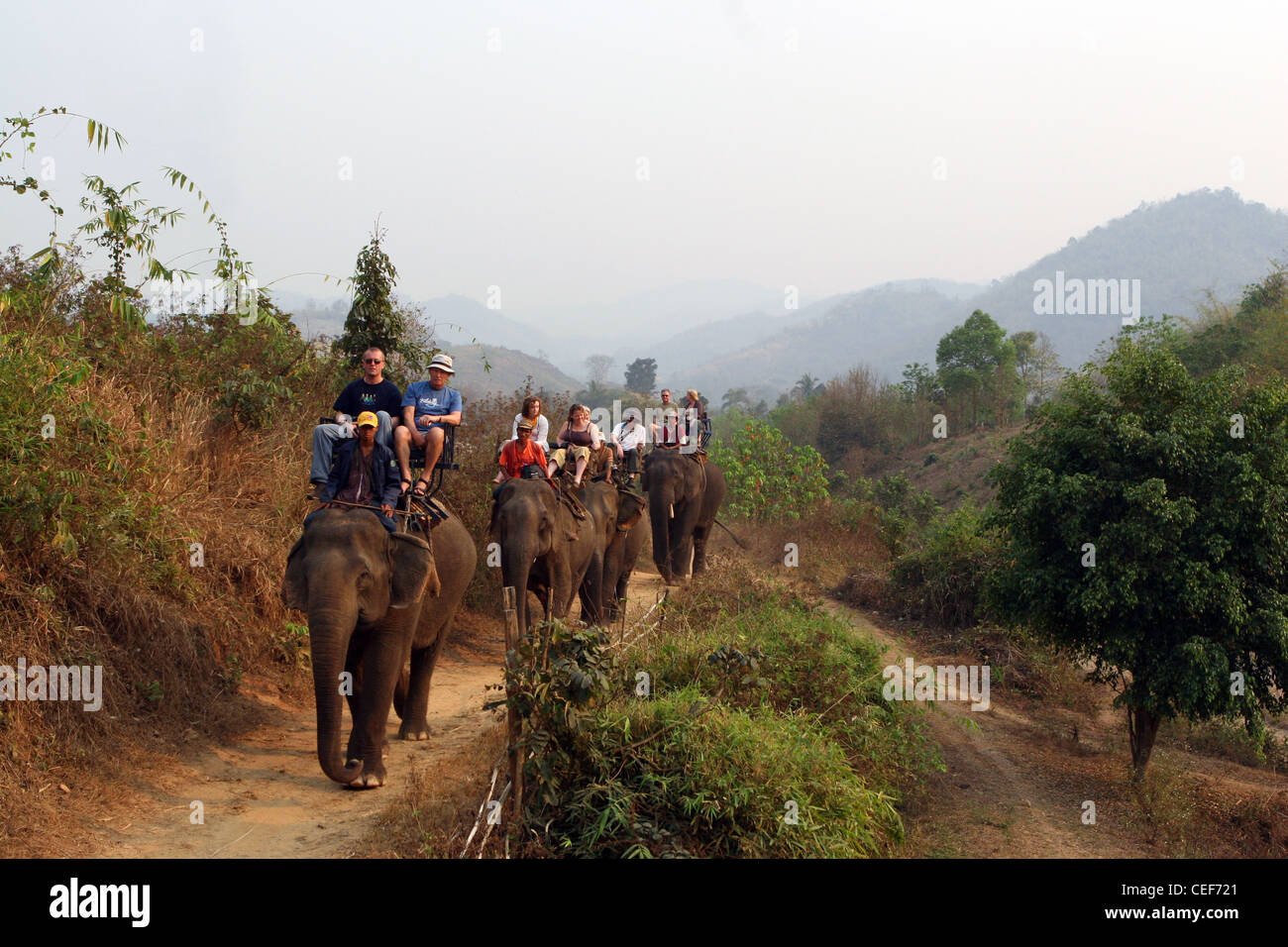 Tourists enjoying an Elephant ride, Ruammit village, Chiang Rai ...