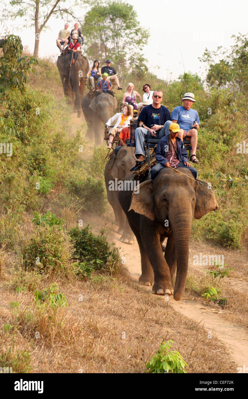 Tourists enjoying an Elephant ride, Ruammit village, Chiang Rai ...