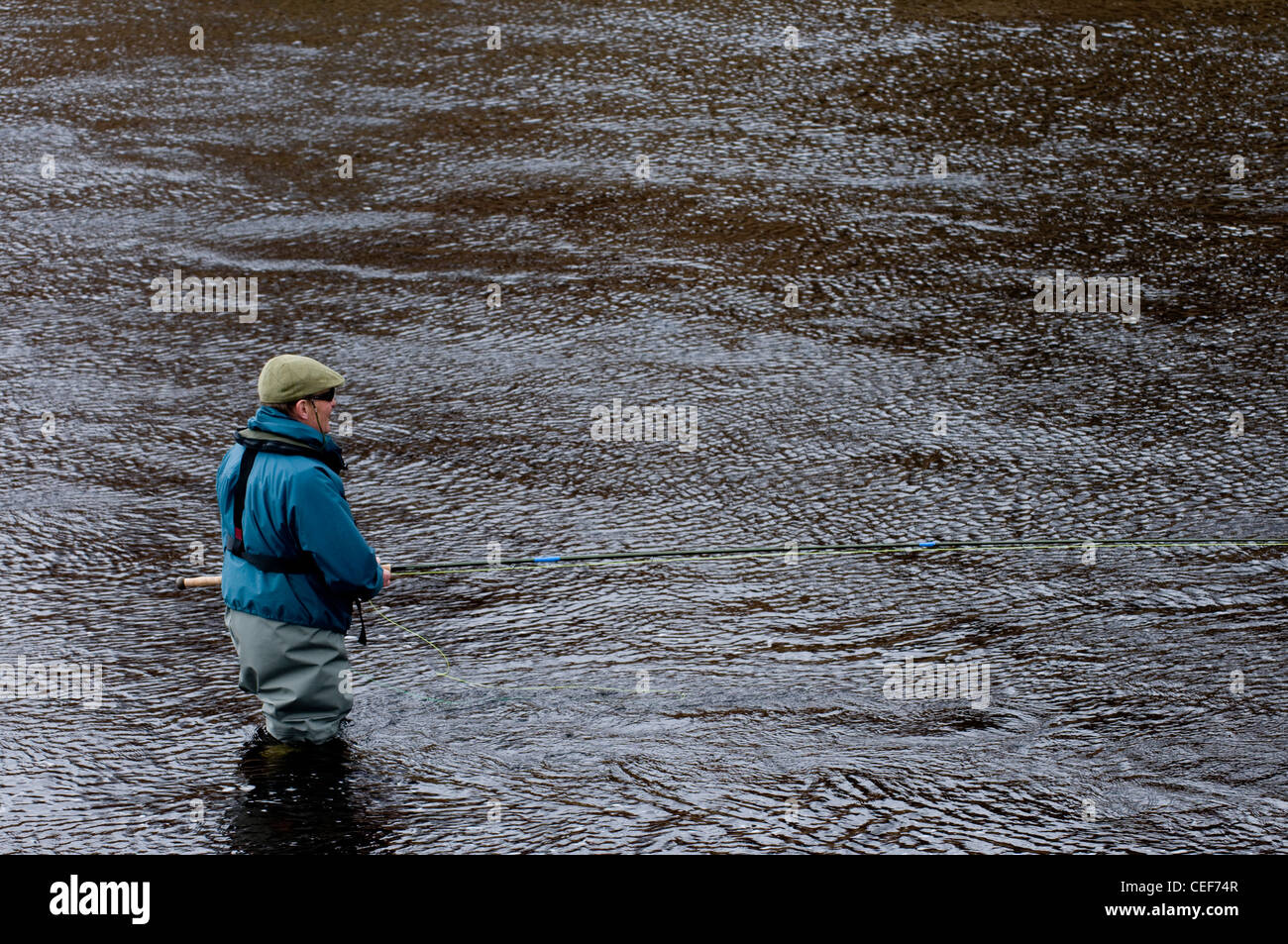 Man Salmon Fishing in the River Oykel, Sutherland, Scotland, UK Stock ...