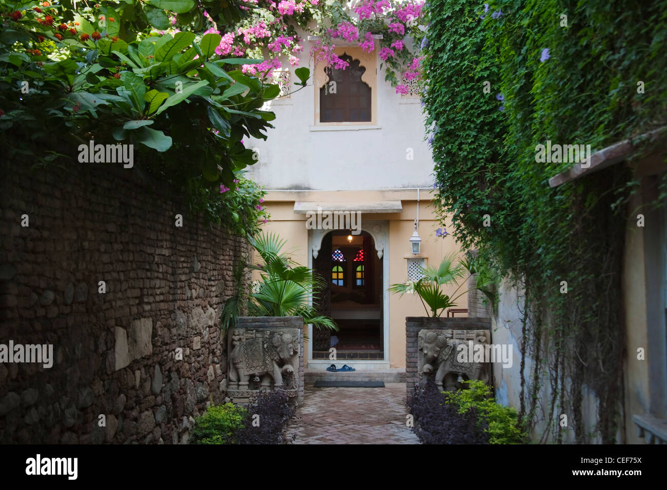 Rawla Narlai, Rajasthan, India Stock Photo - Alamy
