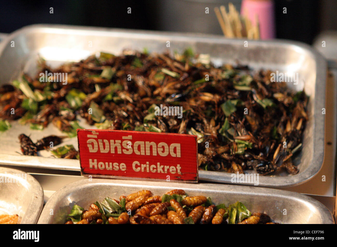 Crickets as food hi-res stock photography and images - Alamy