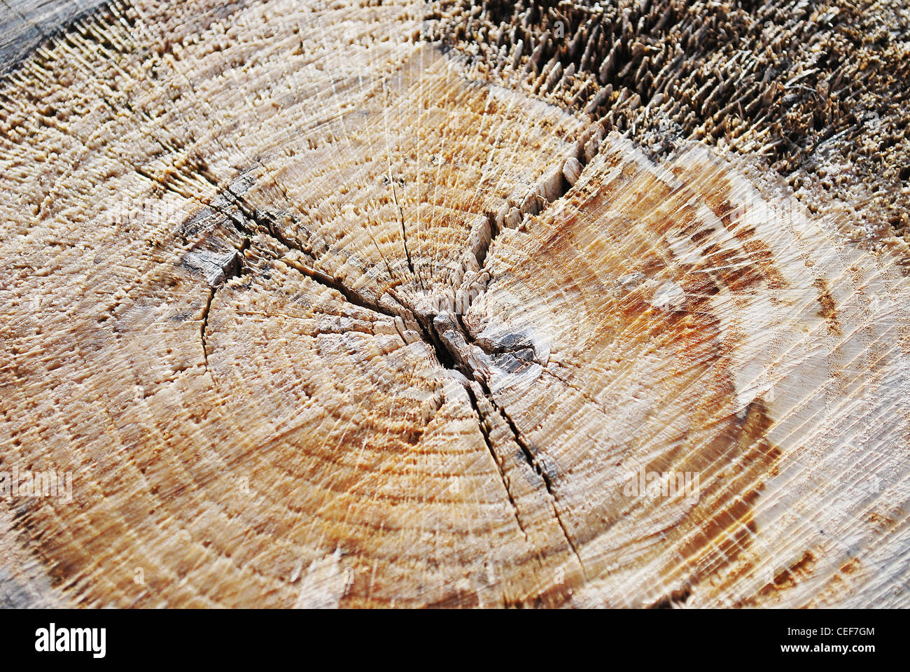 Circle and cross hi-res stock photography and images - Alamy