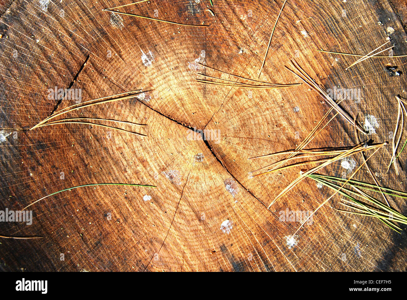 Circle and cross hi-res stock photography and images - Alamy