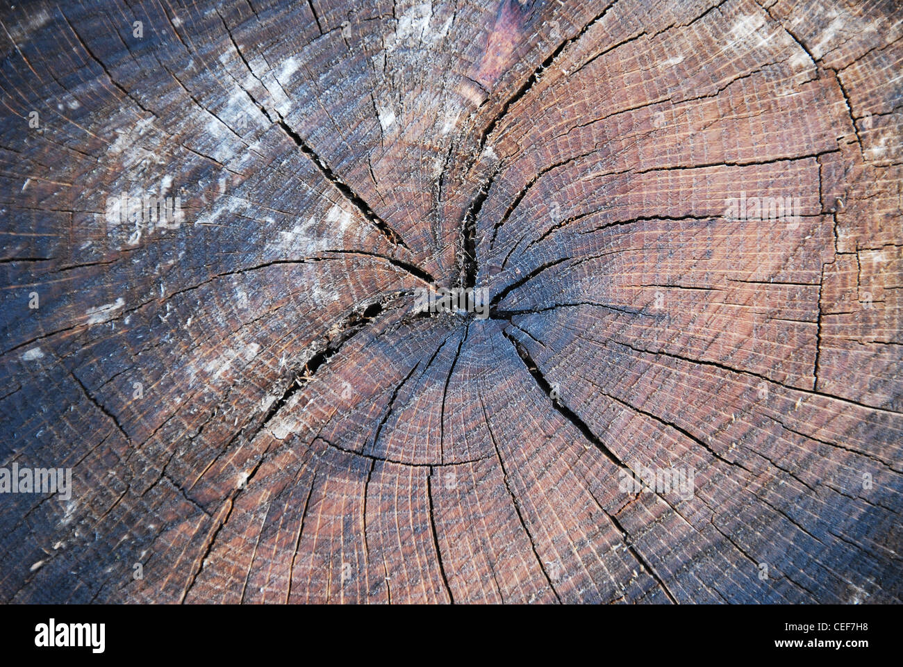 Circle and cross hi-res stock photography and images - Alamy