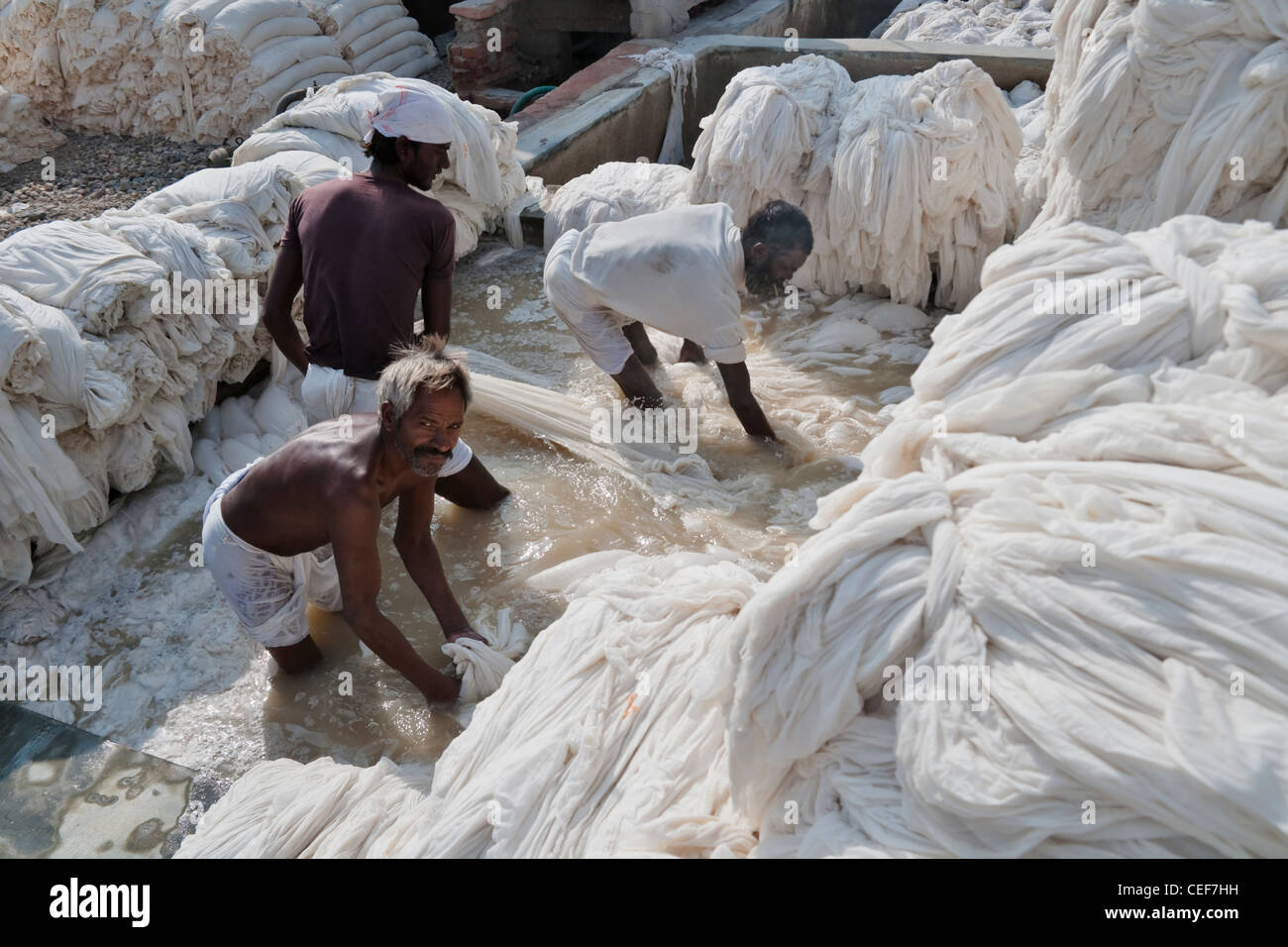Bleaching cloth at local fabric printing workshop, Pali, Rajasthan ...