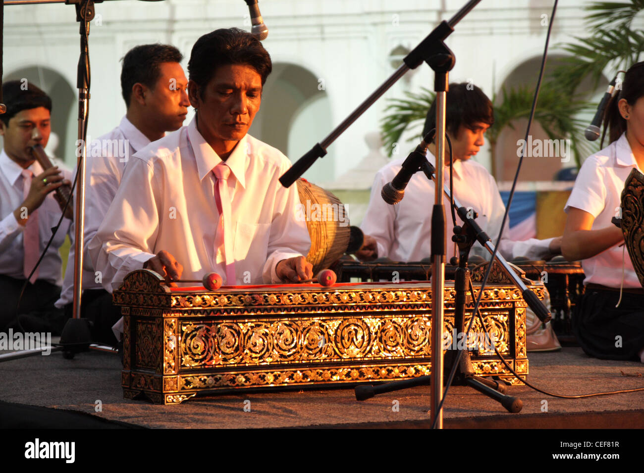 Thai musician performing a Ranat Ek (traditional Thai xylophone Stock ...