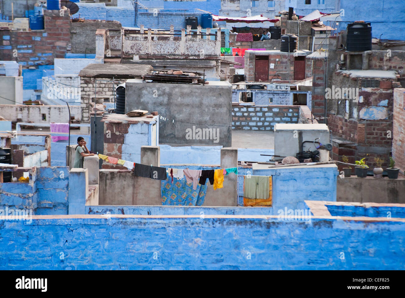 Traditional blue houses in the Blue City, Jodphur, Rajasthan, India ...