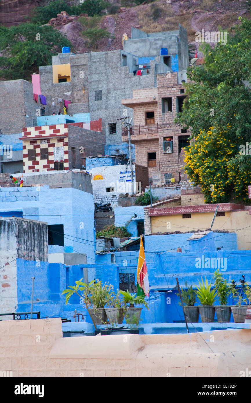 Traditional blue houses in the Blue City, Jodphur, Rajasthan, India ...