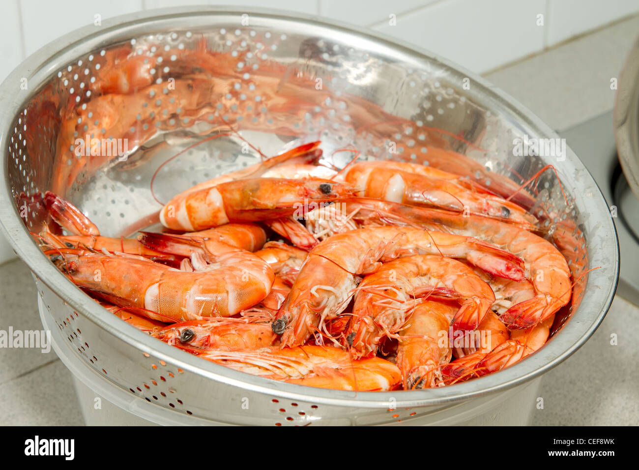 Cooked Prawns with Shell in Colander Strainer Stock Photo - Alamy