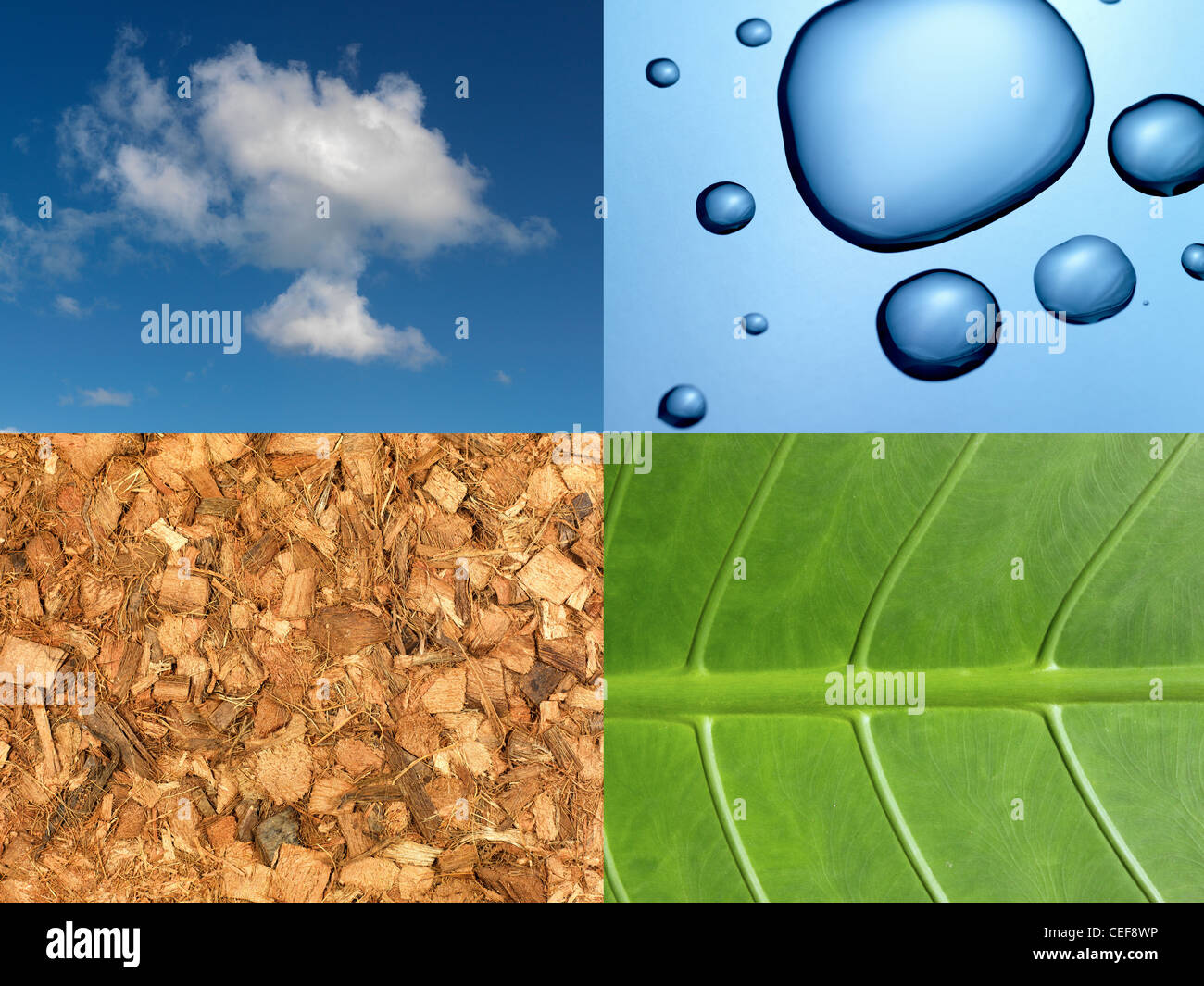 Various natural elements grouped together in one image Stock Photo - Alamy