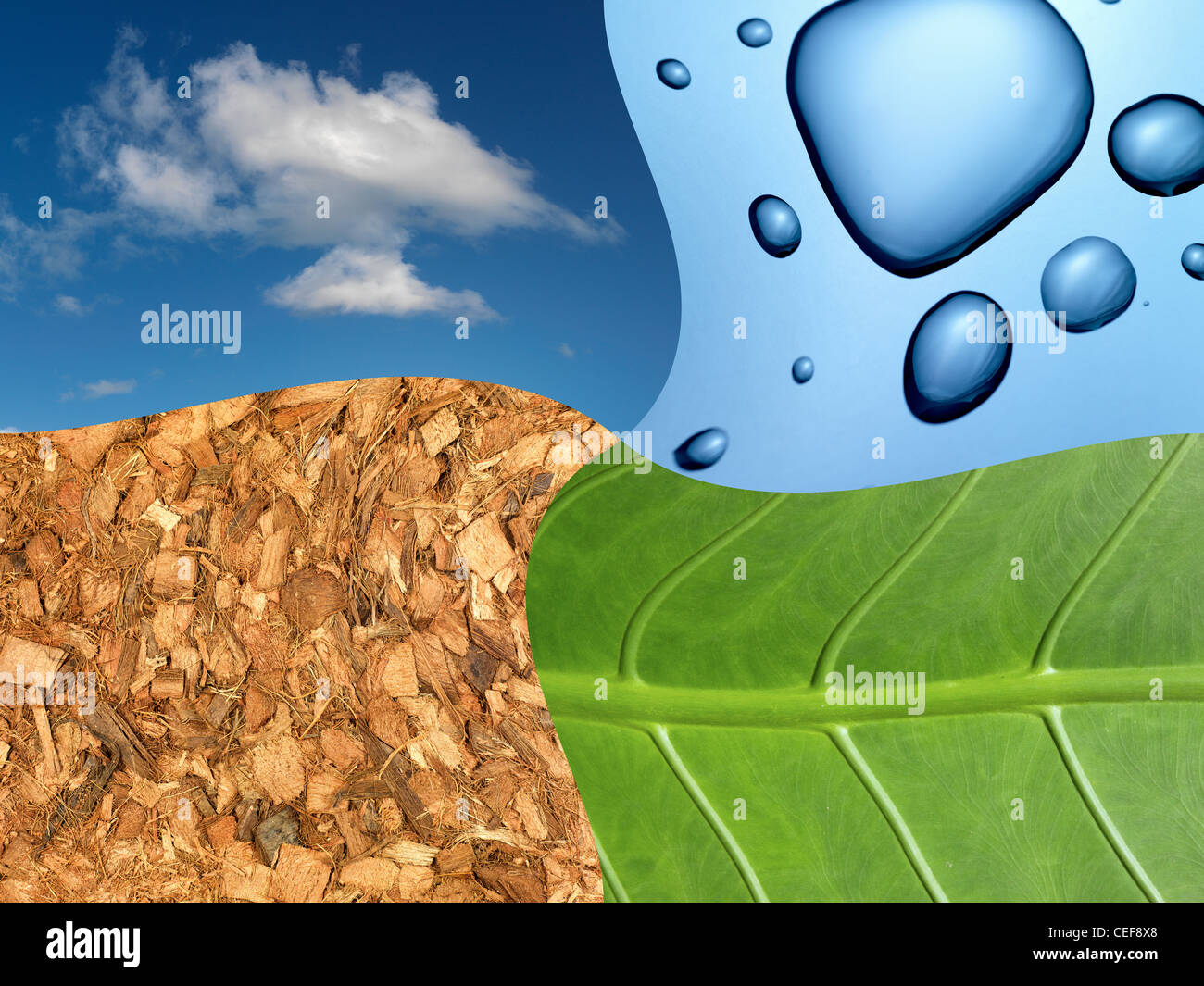 Various natural elements grouped together in one image Stock Photo - Alamy