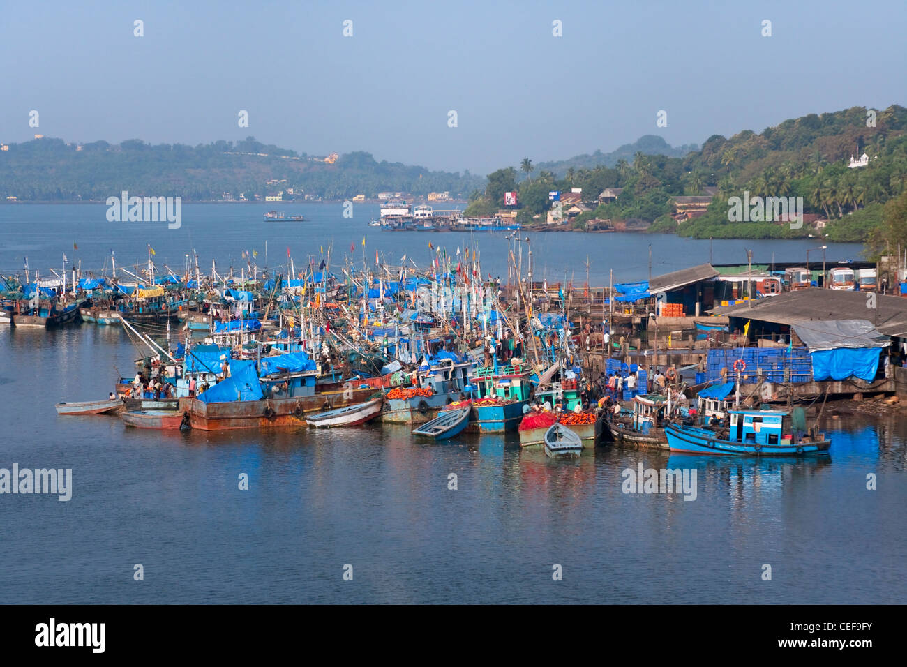 Fishing boats in the Indian Ocean, Goa, India Stock Photo - Alamy