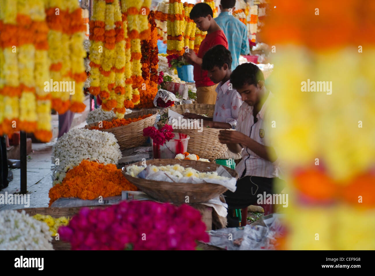 Selling flowers in local market, Goa, India Stock Photo - Alamy