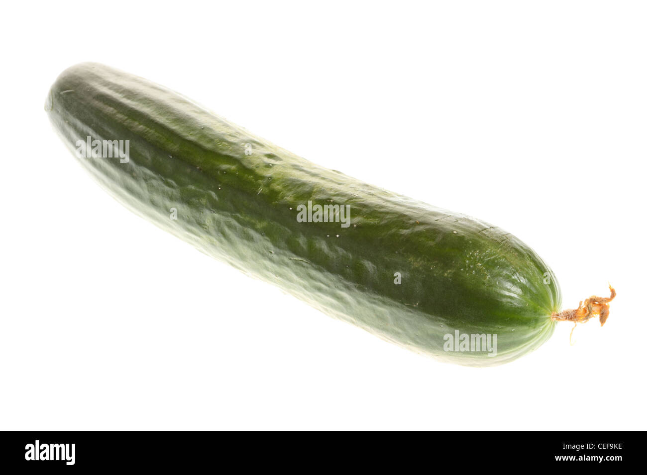 green Cucumber on a white background Stock Photo - Alamy