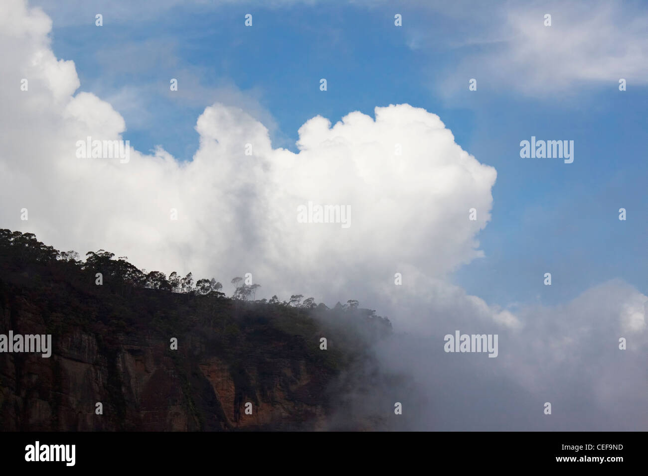 Australia blue mountains mist not fog hi-res stock photography and ...