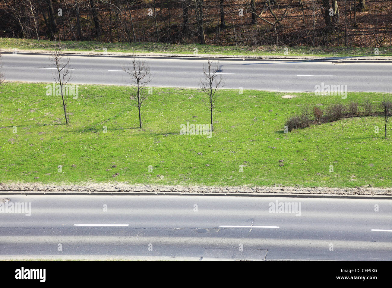 asphalt road in forest, green lawn Stock Photo - Alamy