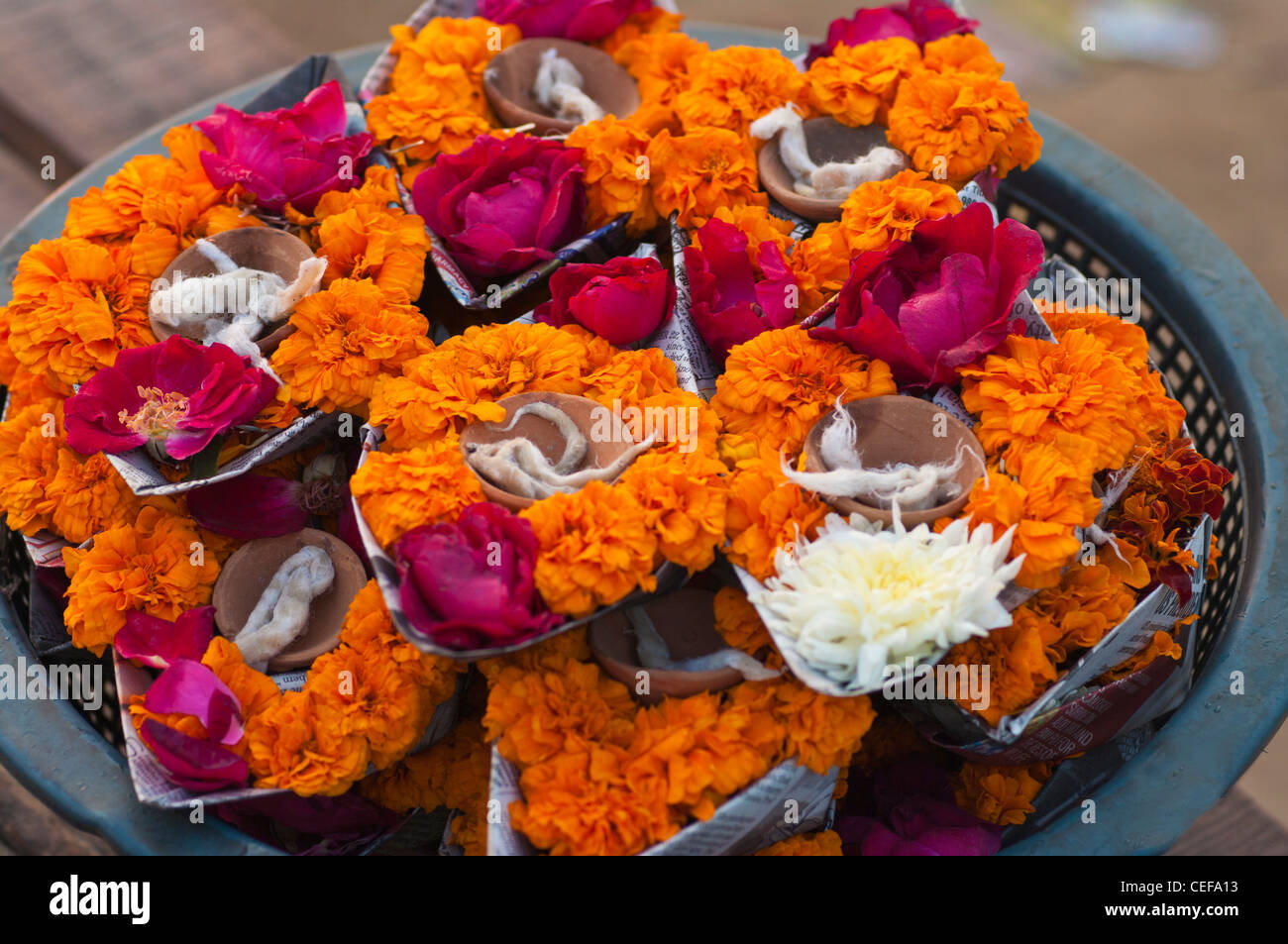 to be offered to the river ganga in prayer Stock Photo - Alamy