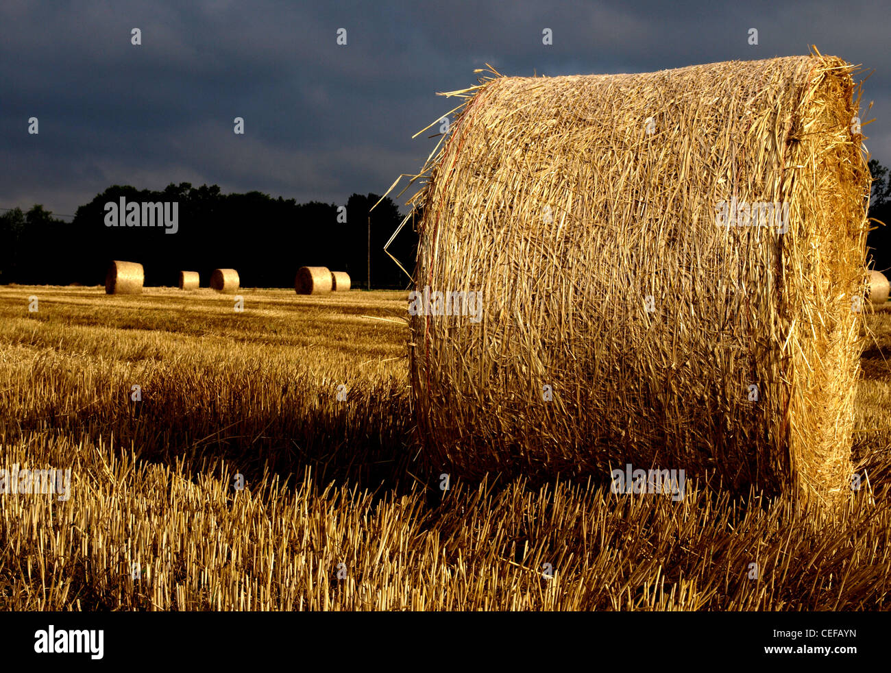 Hay roll at sunrise Stock Photo - Alamy