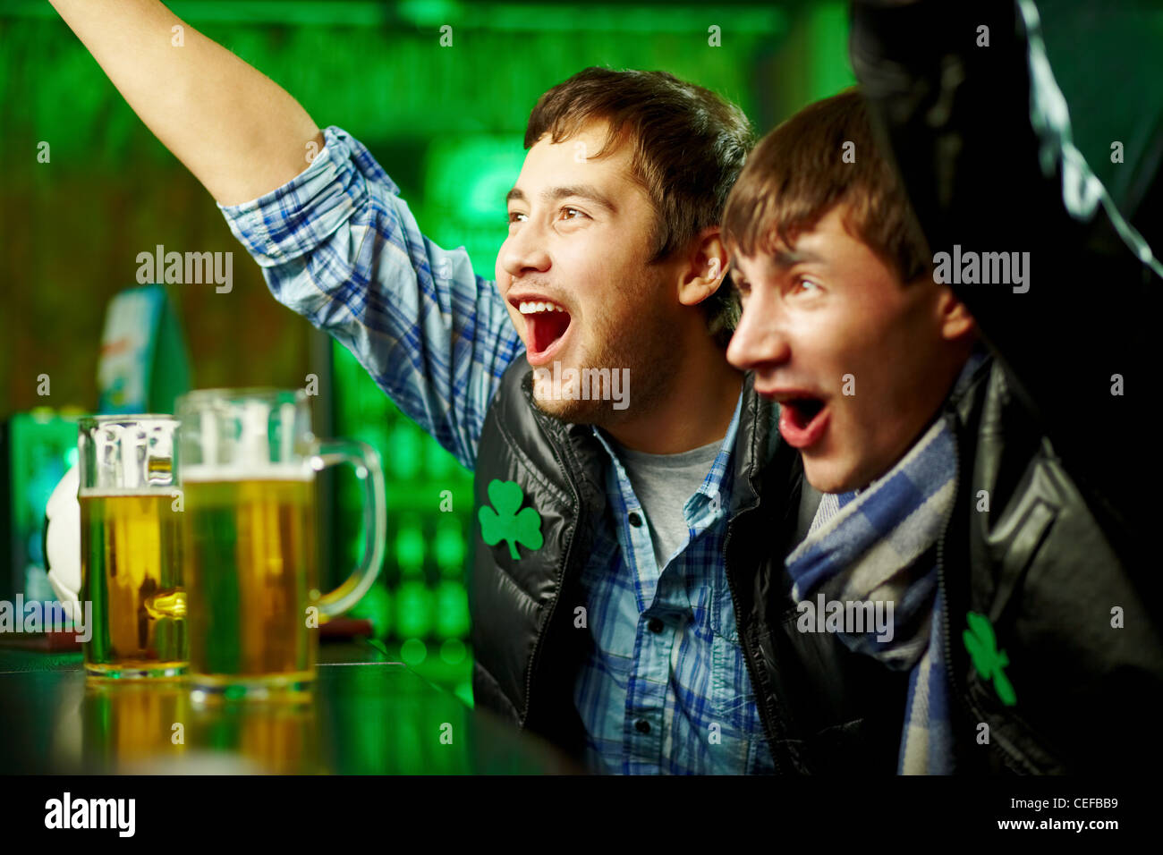 Irish football fan hi-res stock photography and images - Alamy