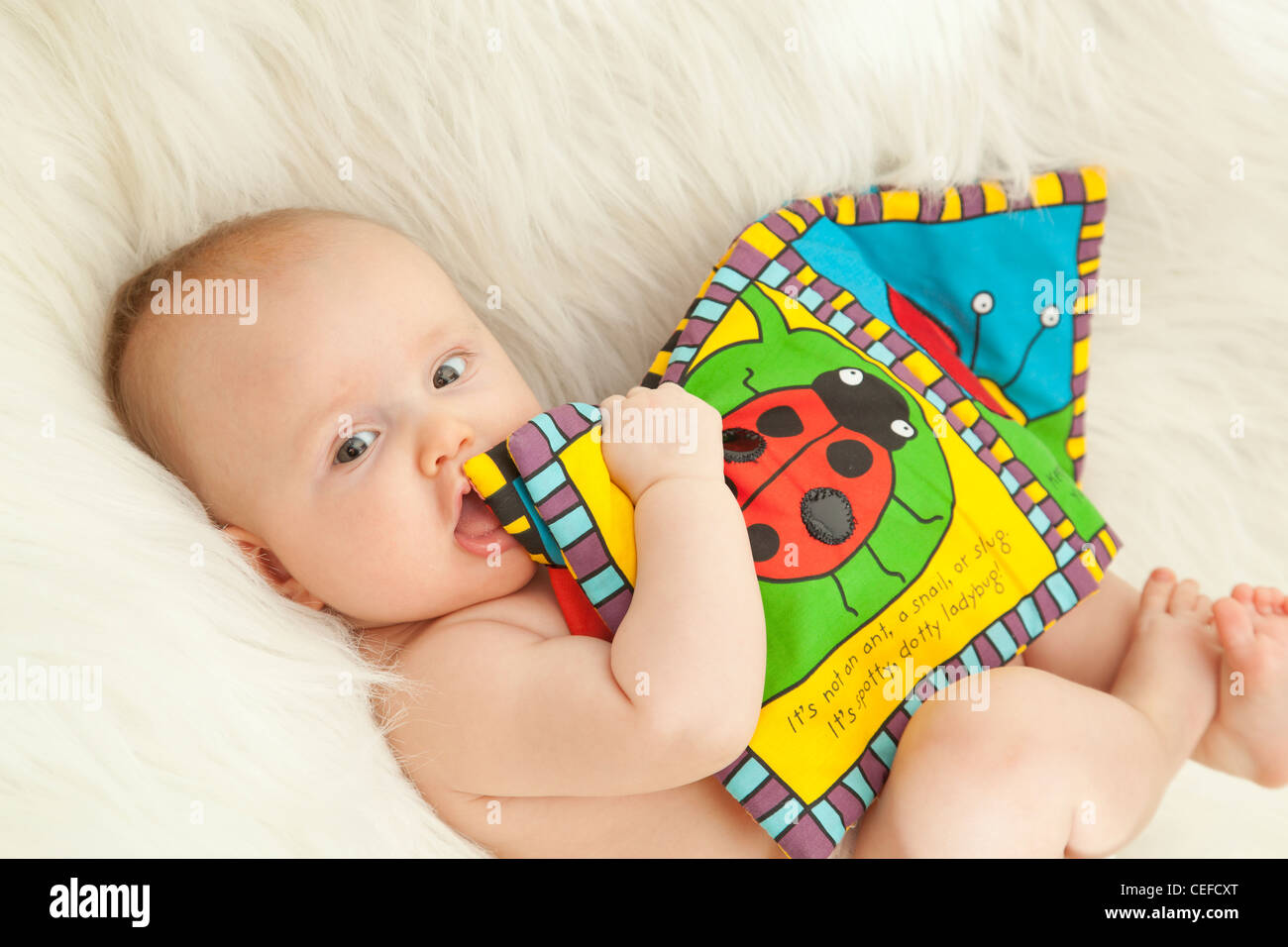 Taste of knowledge. Baby's first book Stock Photo - Alamy