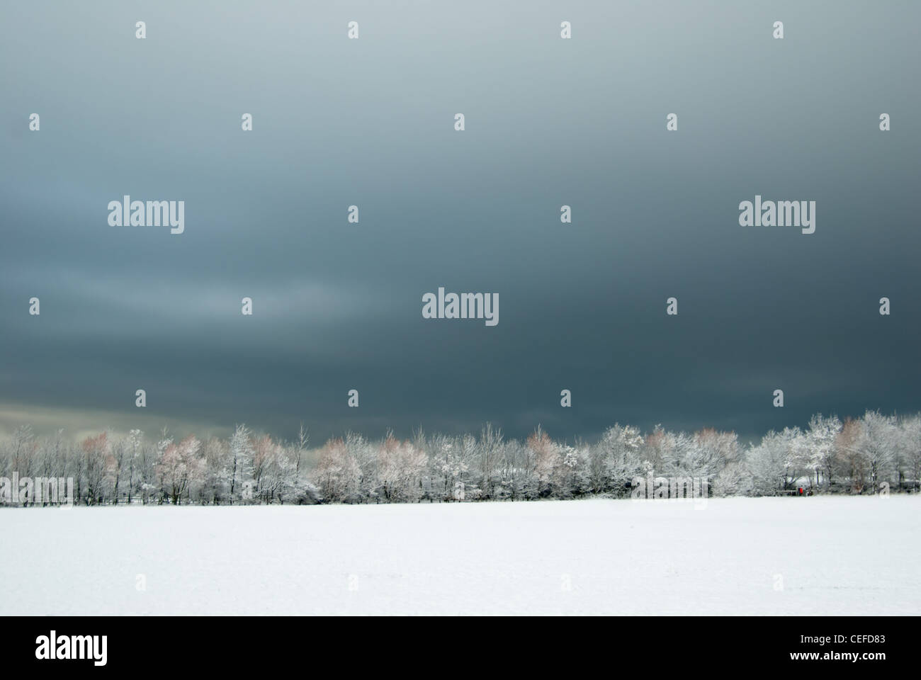 Snow fall hi-res stock photography and images - Alamy