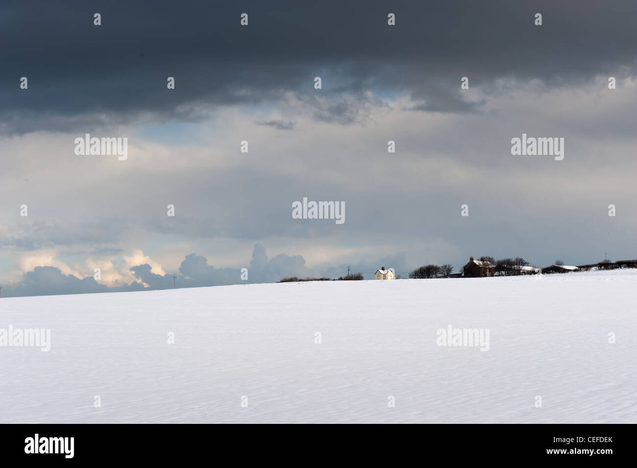 Fall trees snow hi-res stock photography and images - Alamy