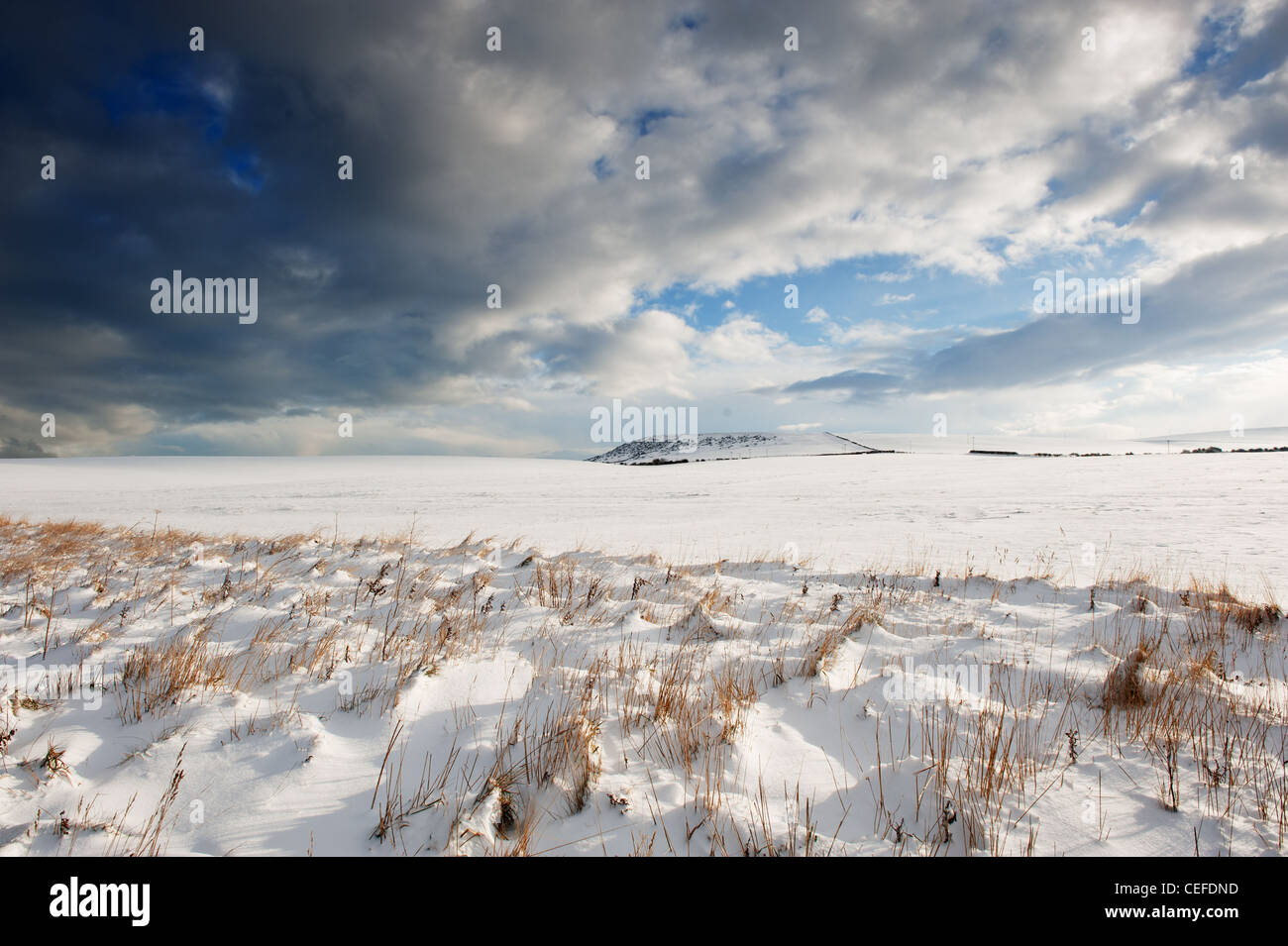 Snow storm approaching Stock Photo - Alamy