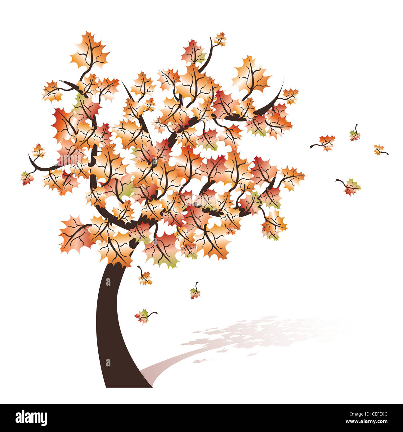 Autumn tree, illustration Stock Photo - Alamy